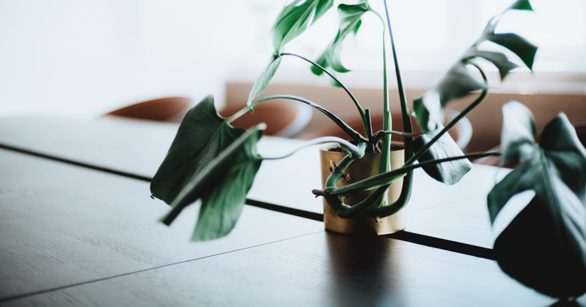 Genesta | Genesta Awarded with a GRESB Green Star