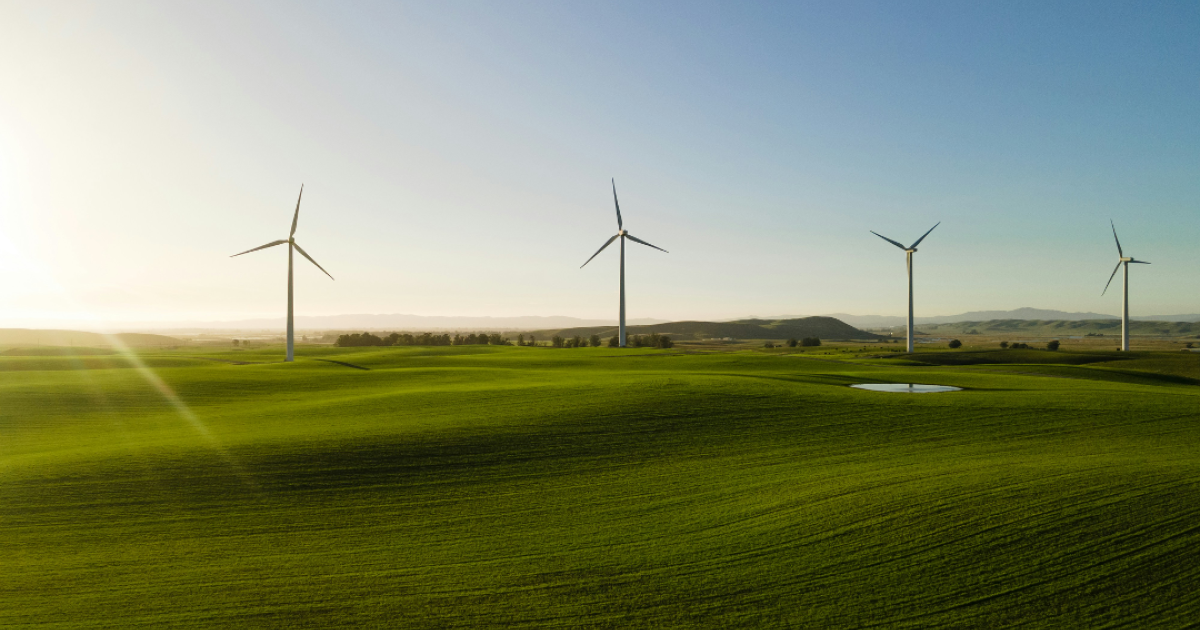 Genesta | Genesta Makes a SBTi Commitment to Reach Net-Zero…